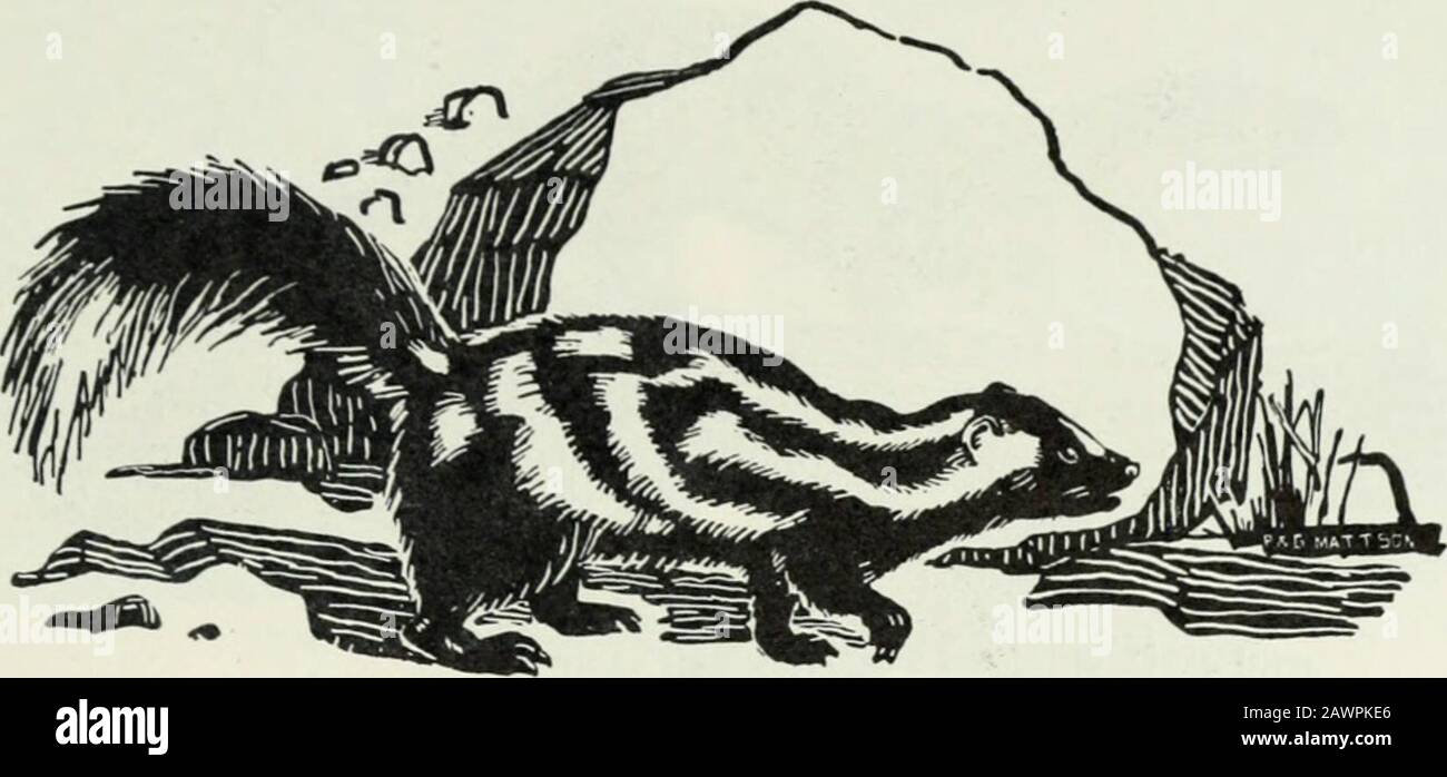 Yosemite case hi-res stock photography and images - Alamy