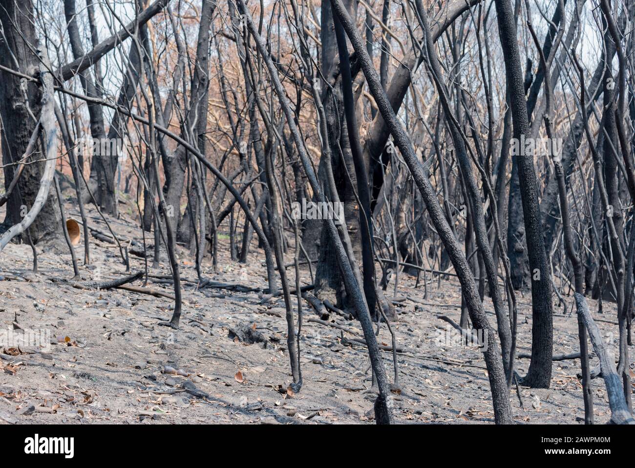 Bushfire bush fire damaged roads hi-res stock photography and images ...