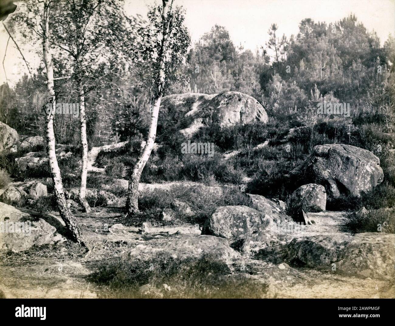 Famin hi-res stock photography and images - Alamy