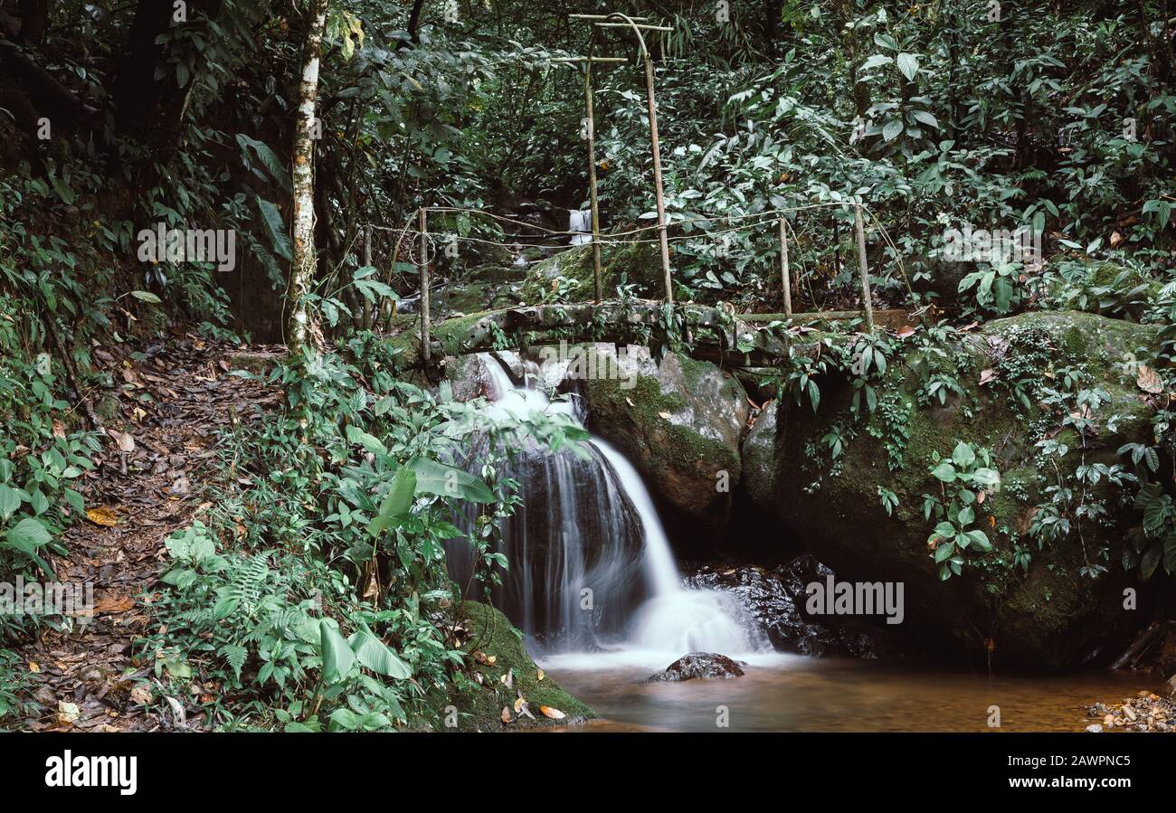 Wooden footbridge over a small creek in Costa Rican forest Stock Photo ...