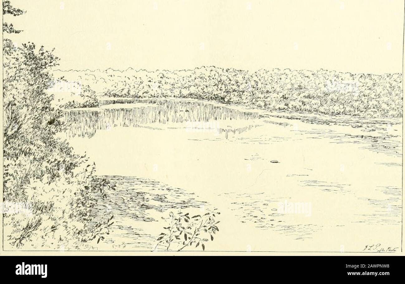 Extricable hi-res stock photography and images - Alamy