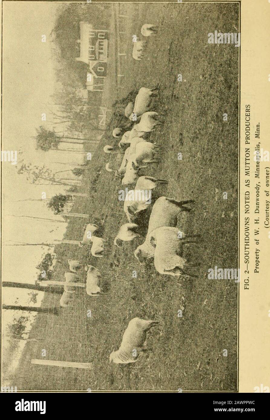 Woolproduction hi-res stock photography and images - Alamy