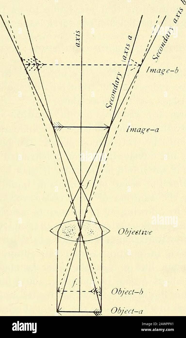 Put under the microscope hi-res stock photography and images - Alamy