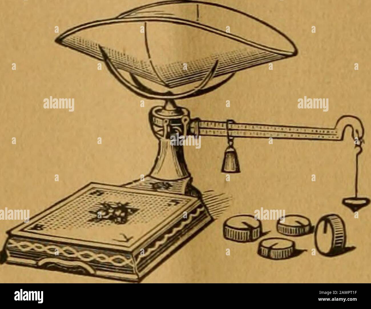 American bee journal . Useful Scales The Union or Family Scale.. This ...