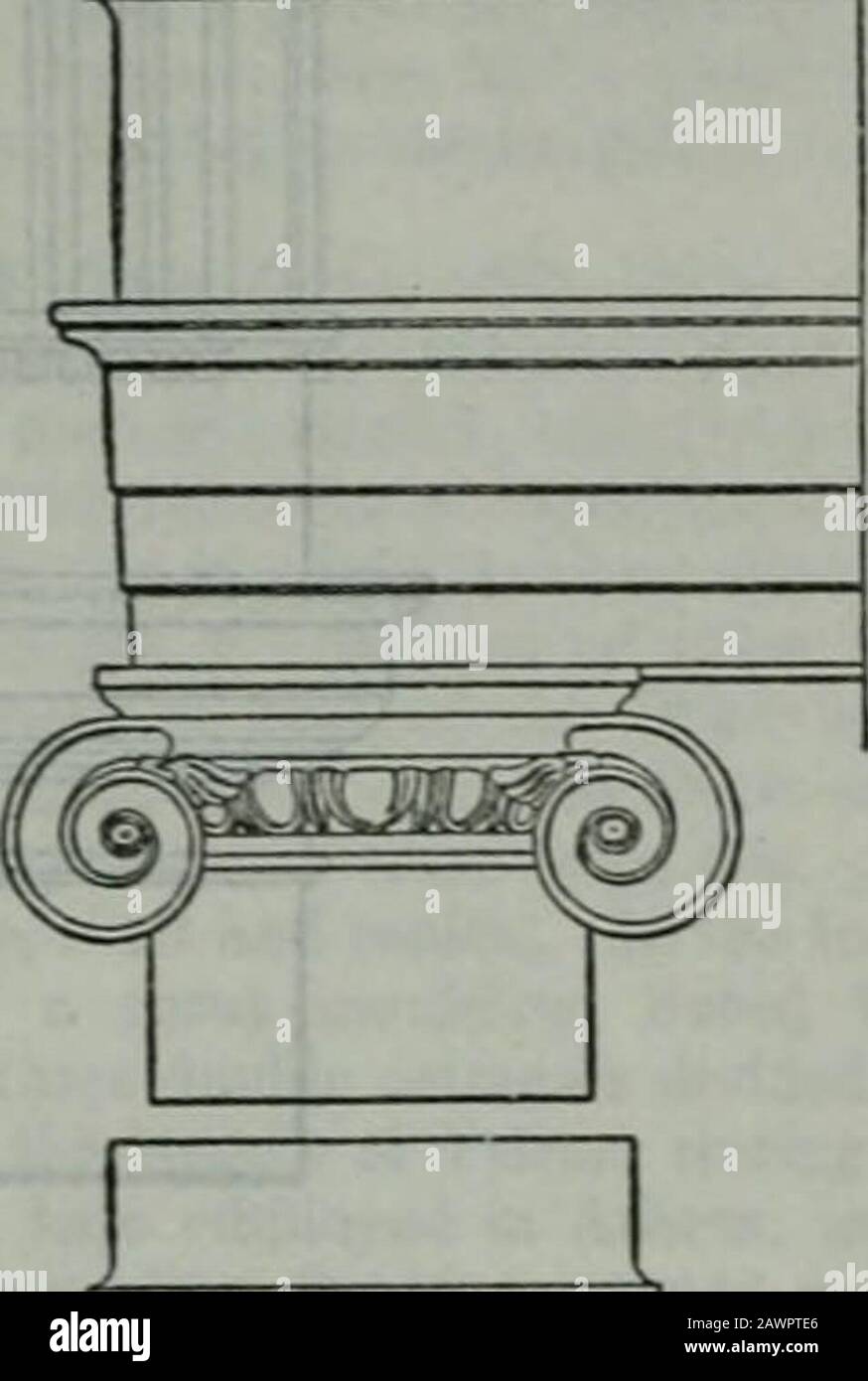 Volute base hi-res stock photography and images - Alamy