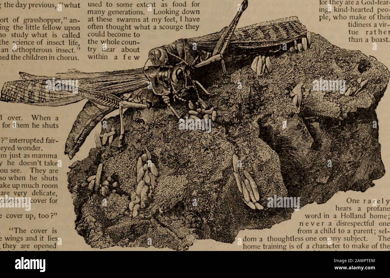 Christian herald and signs of our times . THE ARABIAN LOCUST AND ITS ...