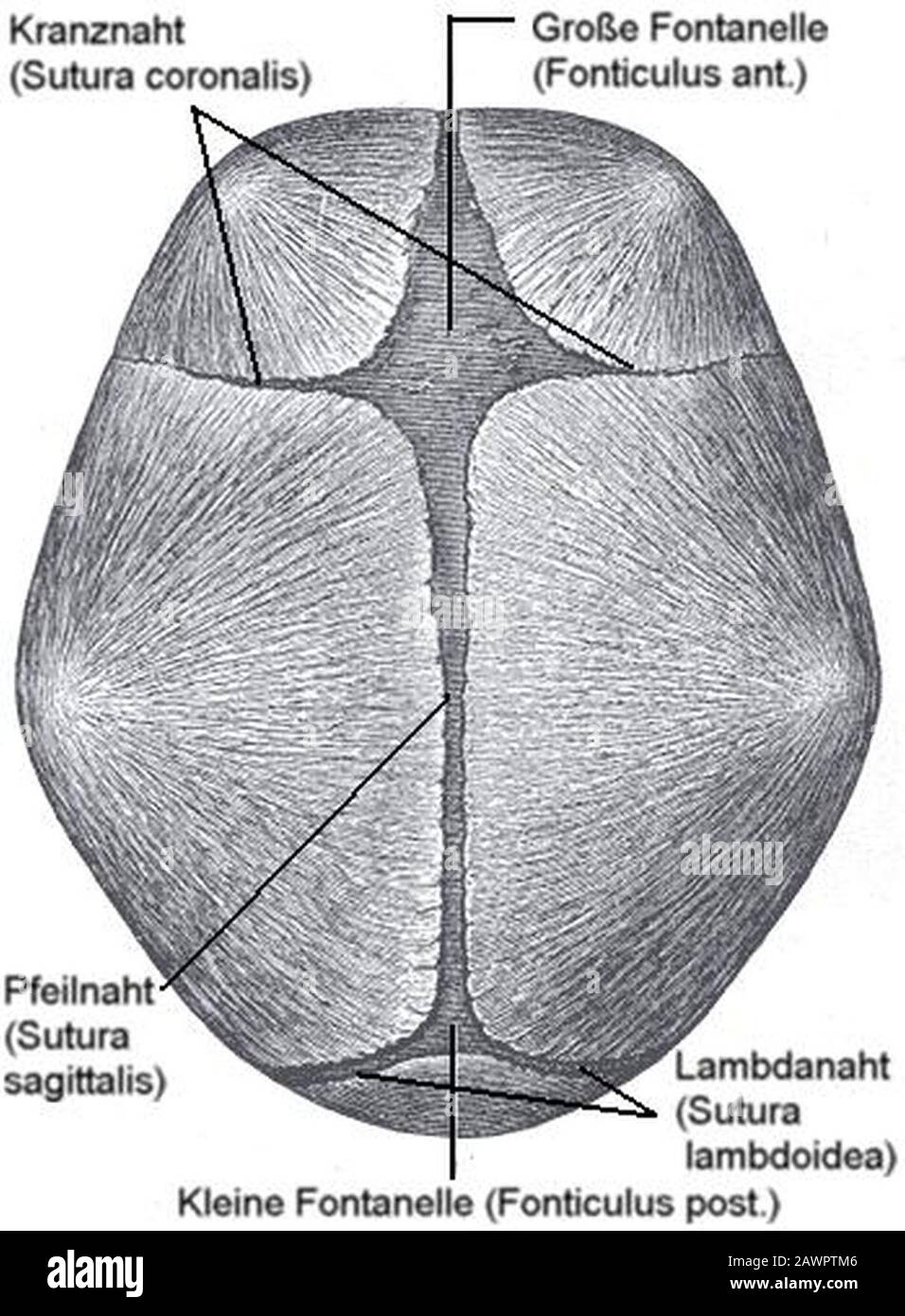 Fontanelle not italy hi-res stock photography and images - Alamy