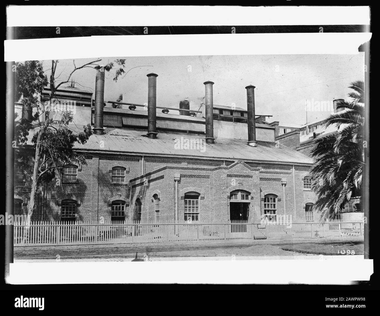 Food Adm. sugar, pulp drying plant, Oxnard, (California), Factory Stock ...