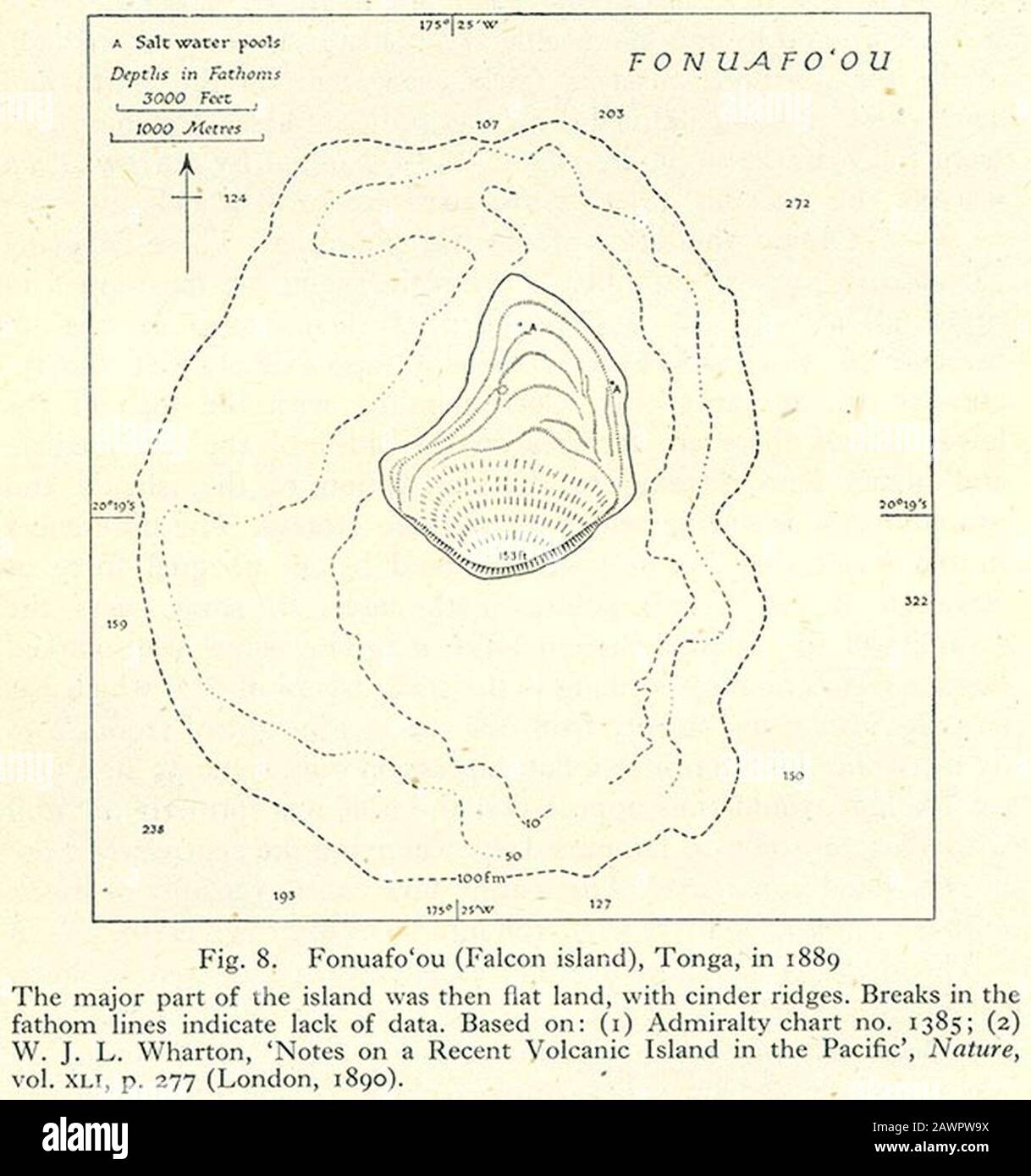 Archival tonga hi-res stock photography and images - Alamy