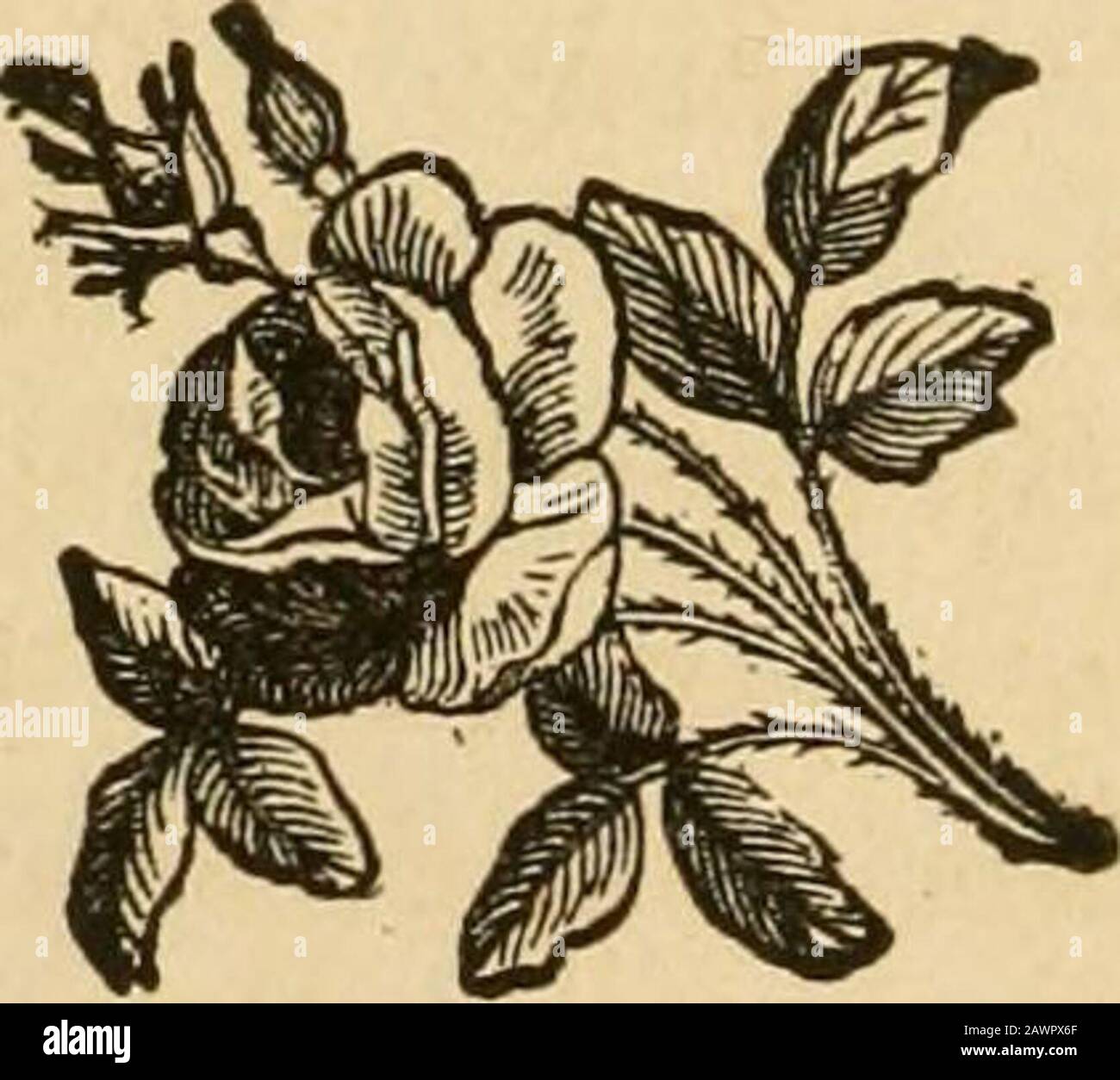 "Quad's odds"; . They Tried to Console Him. 280 couldnt get another ...