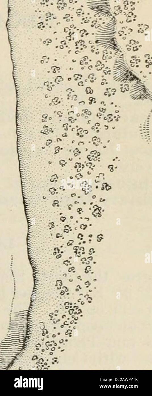 Nasipit hi-res stock photography and images - Alamy