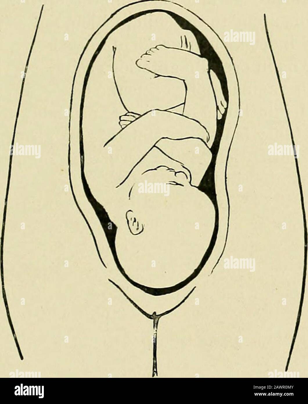 Vertex presentations hi-res stock photography and images - Alamy