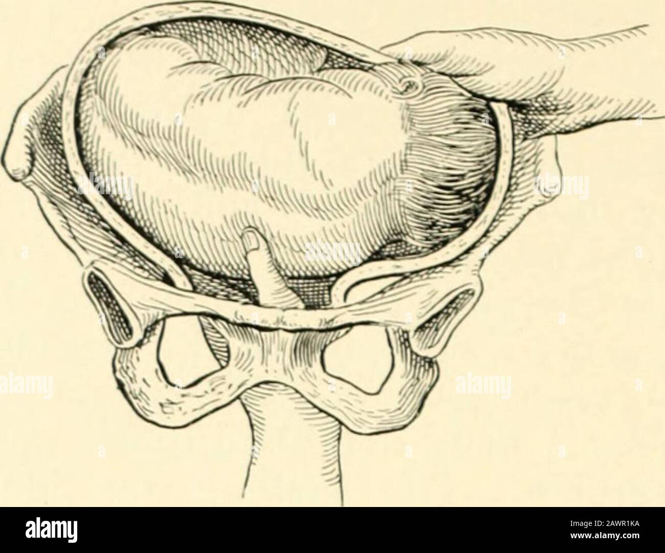 Fetal position child hi-res stock photography and images - Alamy