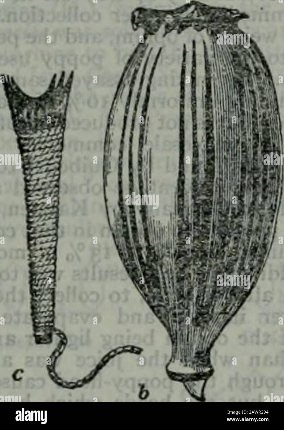 Opium balls hi-res stock photography and images - Alamy