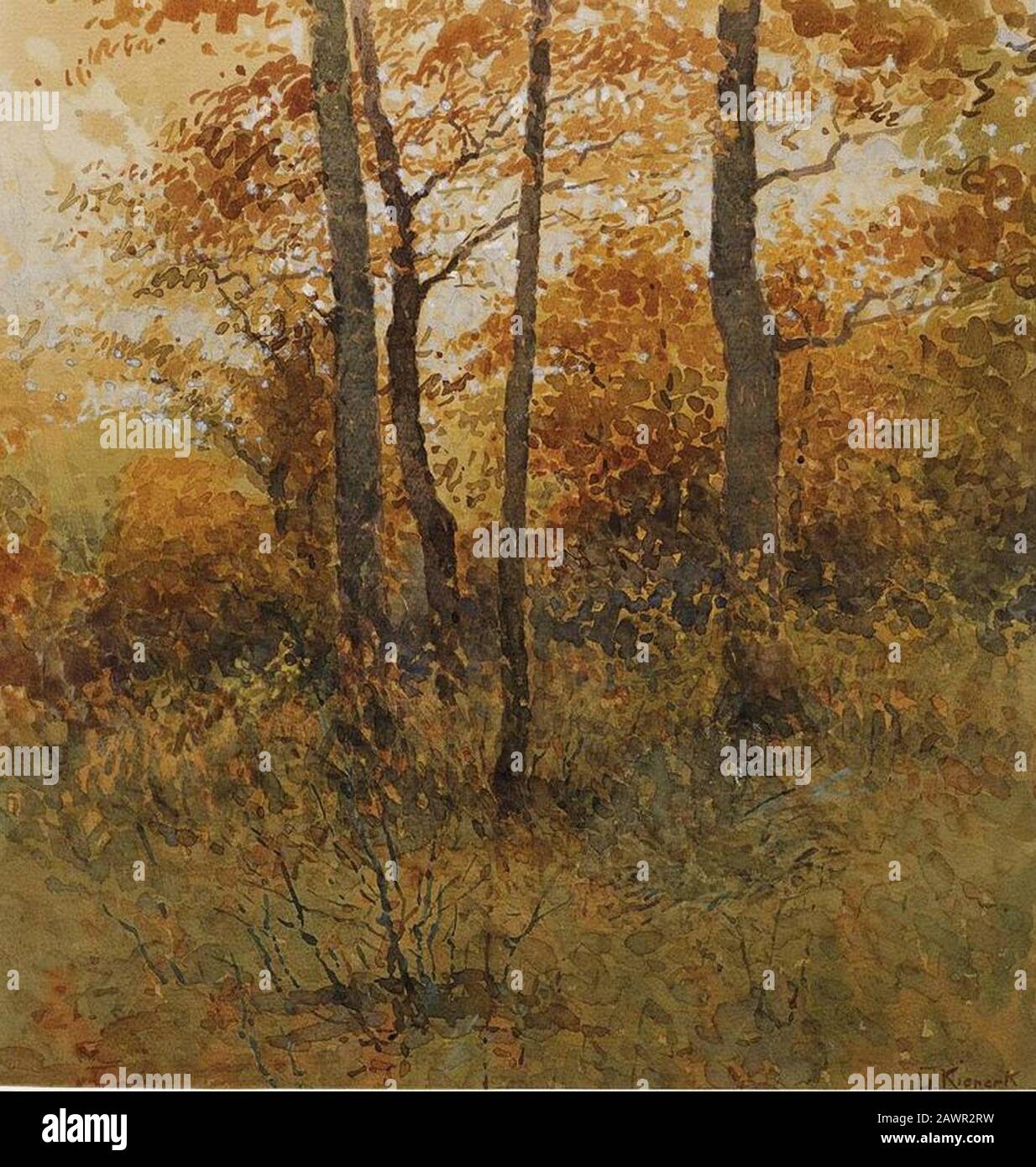 Forest study hi-res stock photography and images - Alamy