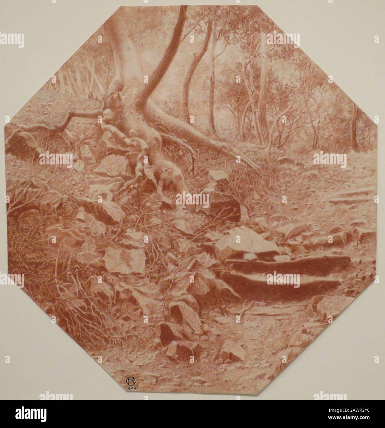 Forest Study by Robert Cerny Stock Photo - Alamy