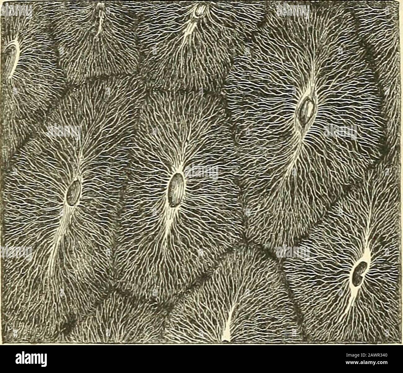 Concentric canals hi-res stock photography and images - Alamy