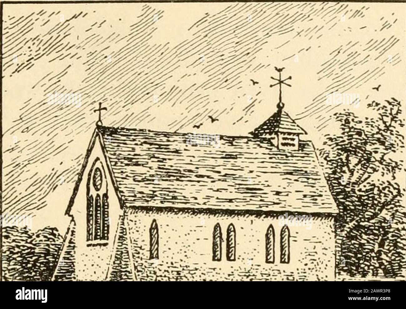 The Ogden family in America, Elizabethtown branch, and their English ...