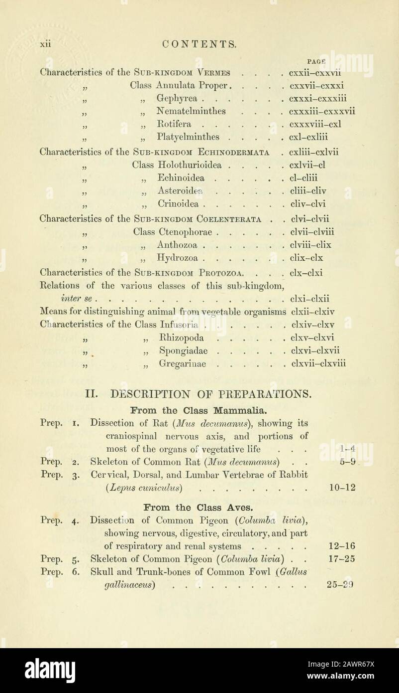 Historical life forms hi-res stock photography and images - Alamy