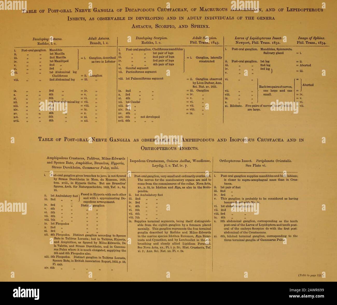 Forms of animal life Stock Photo - Alamy