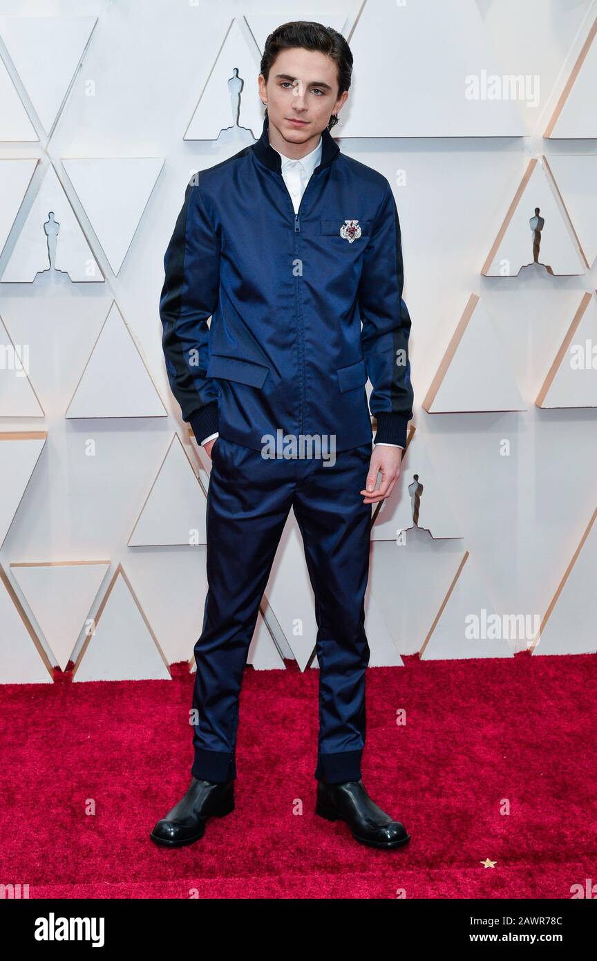 Timothee Chalamet walking on the red carpet at the 92nd Annual Academy ...