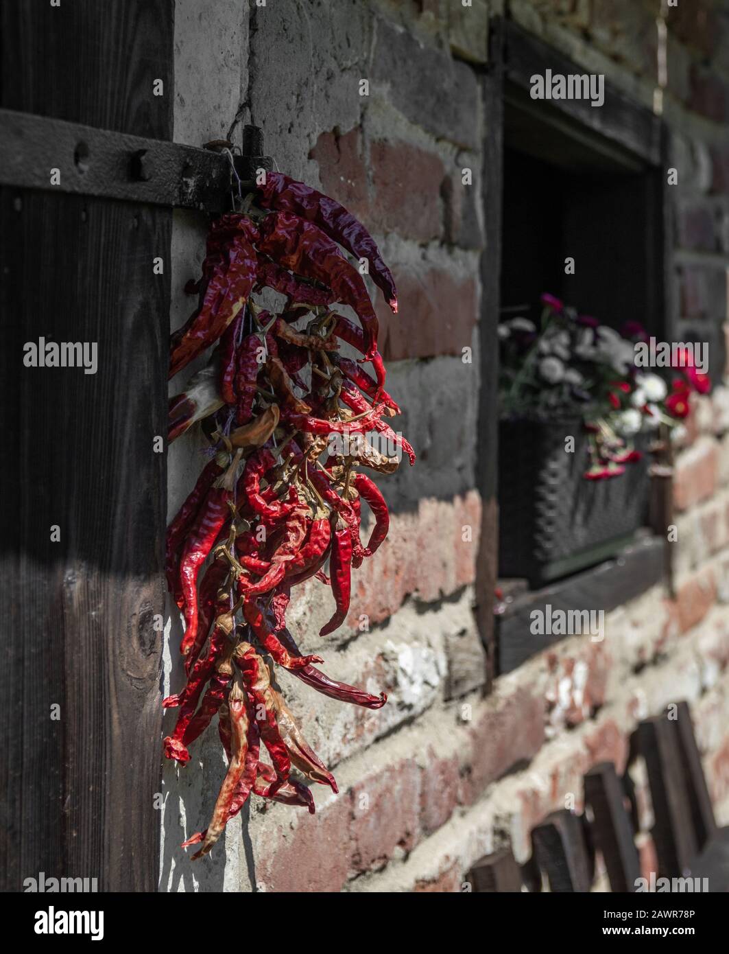 Dried red peppers hanging from the wall of an old house made of bricks ...