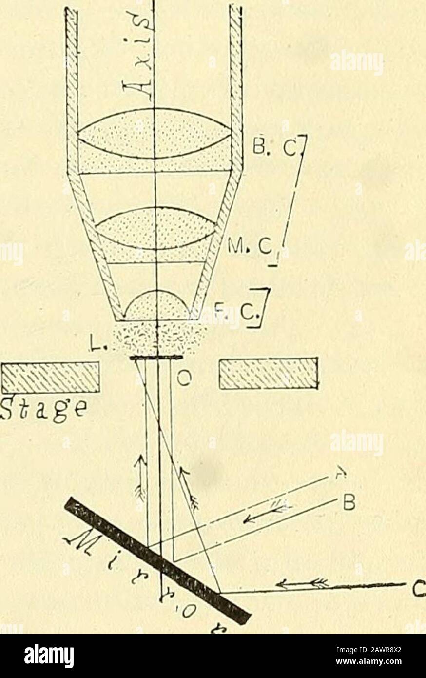 The microscope; an introduction to microscopic methods and to histology ...