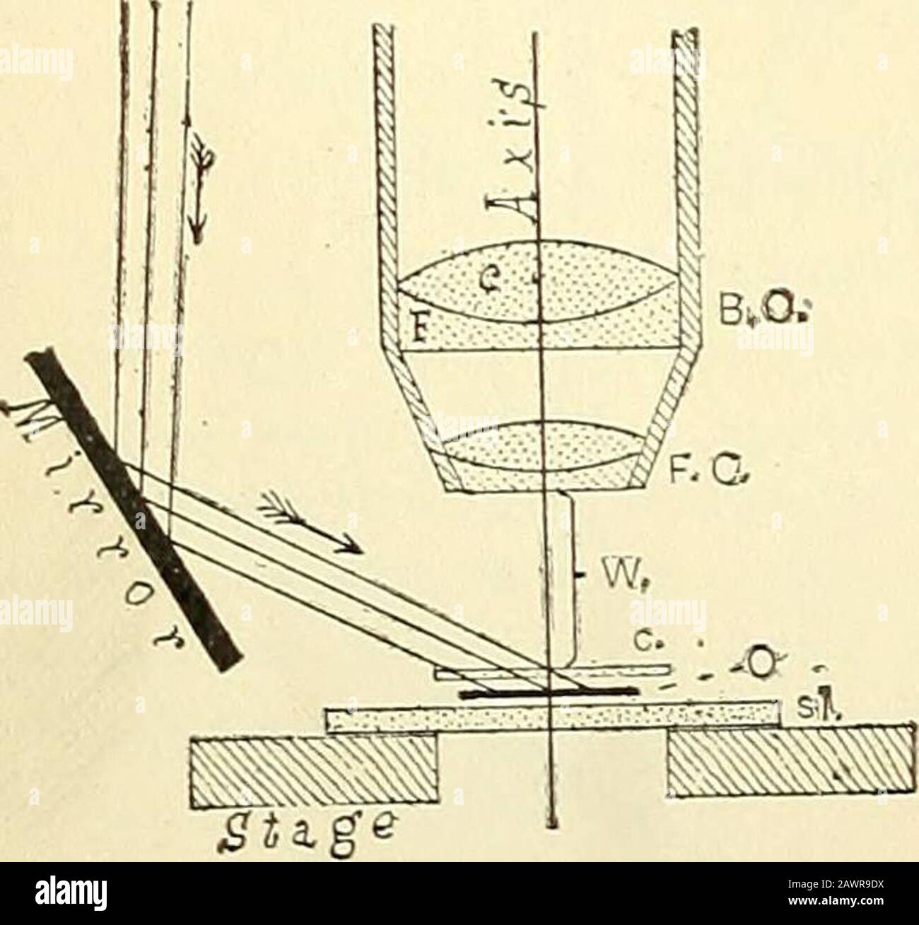 Low power microscope hi-res stock photography and images - Alamy