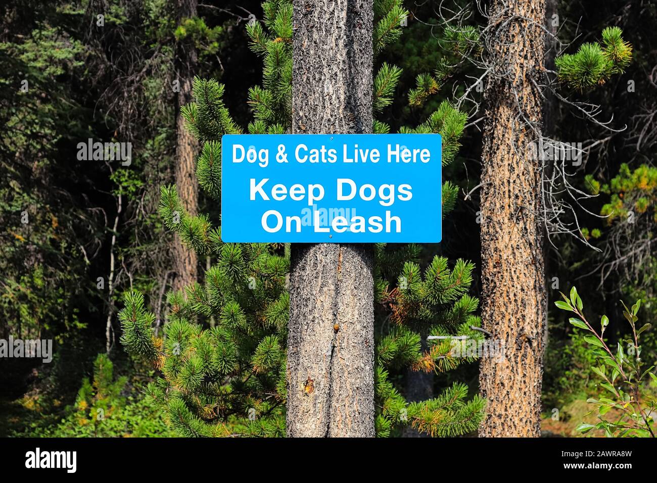 All dogs must be on a leash sign hi-res stock photography and images ...