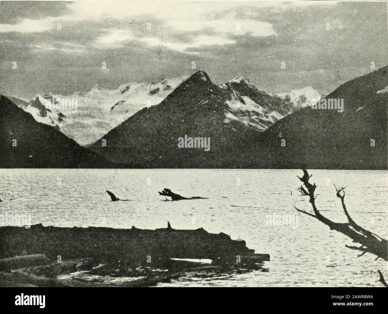 Fortress Lake, Alberta Stock Photo - Alamy
