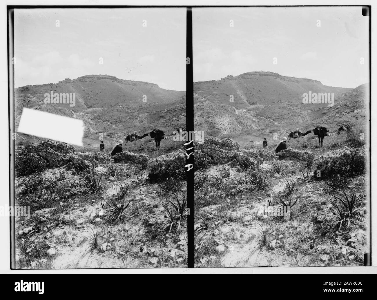 Fortress of Gamala Stock Photo - Alamy