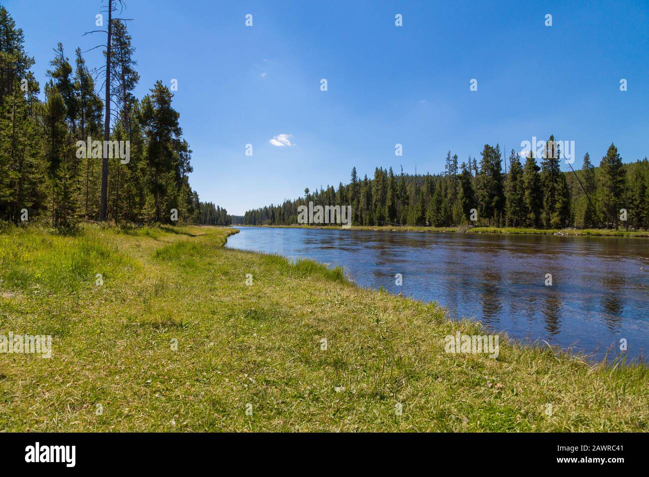 Yellowstone River landscape with beautiful forest reflection in ...