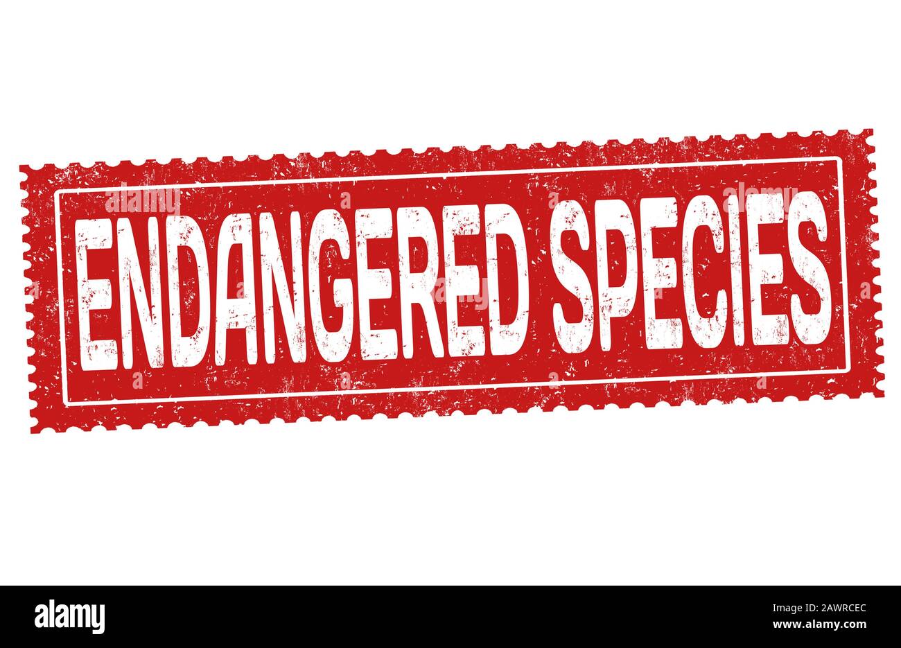 An endangered species Cut Out Stock Images & Pictures - Alamy