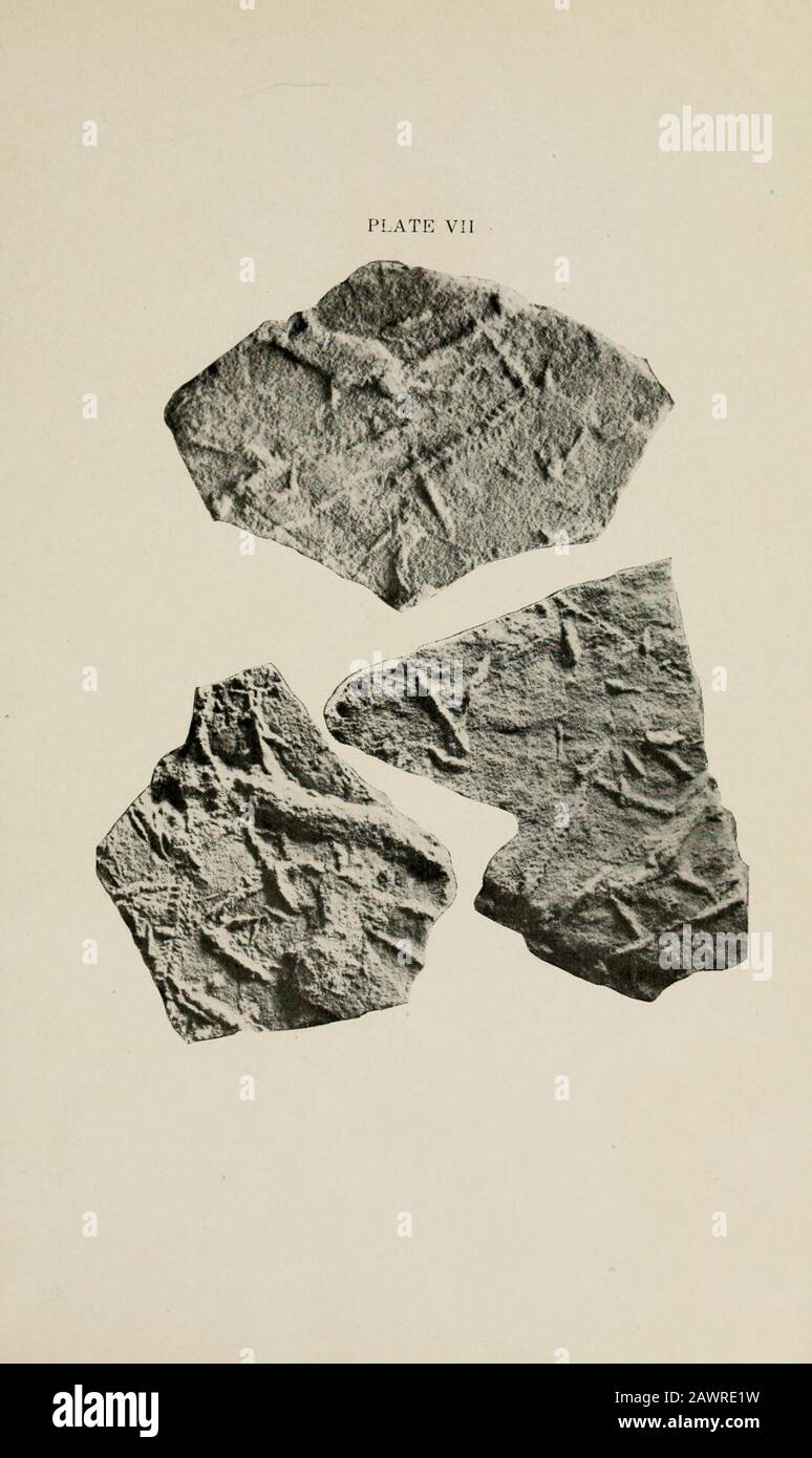 Fossil ice crystals Stock Photo - Alamy