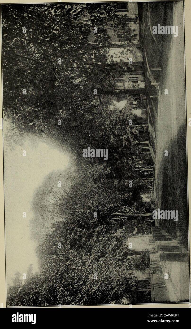 Susan fiske hi-res stock photography and images - Alamy