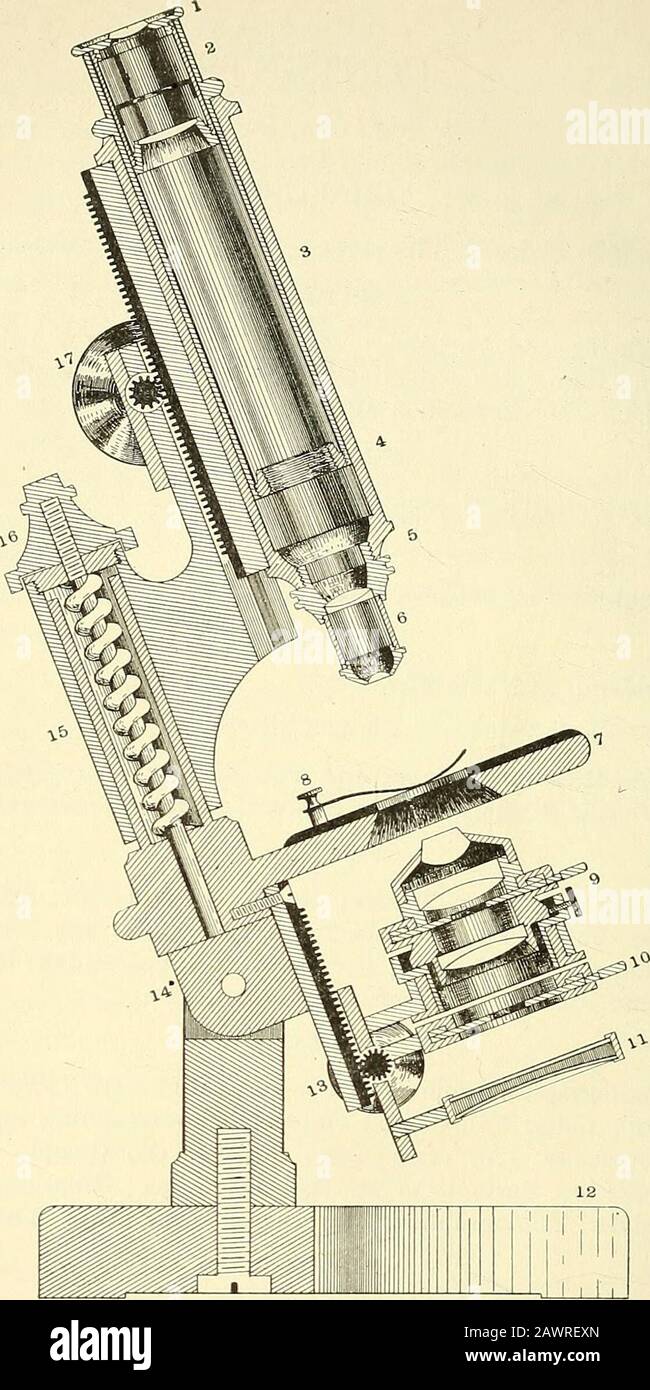The microscope; an introduction to microscopic methods and to histology ...