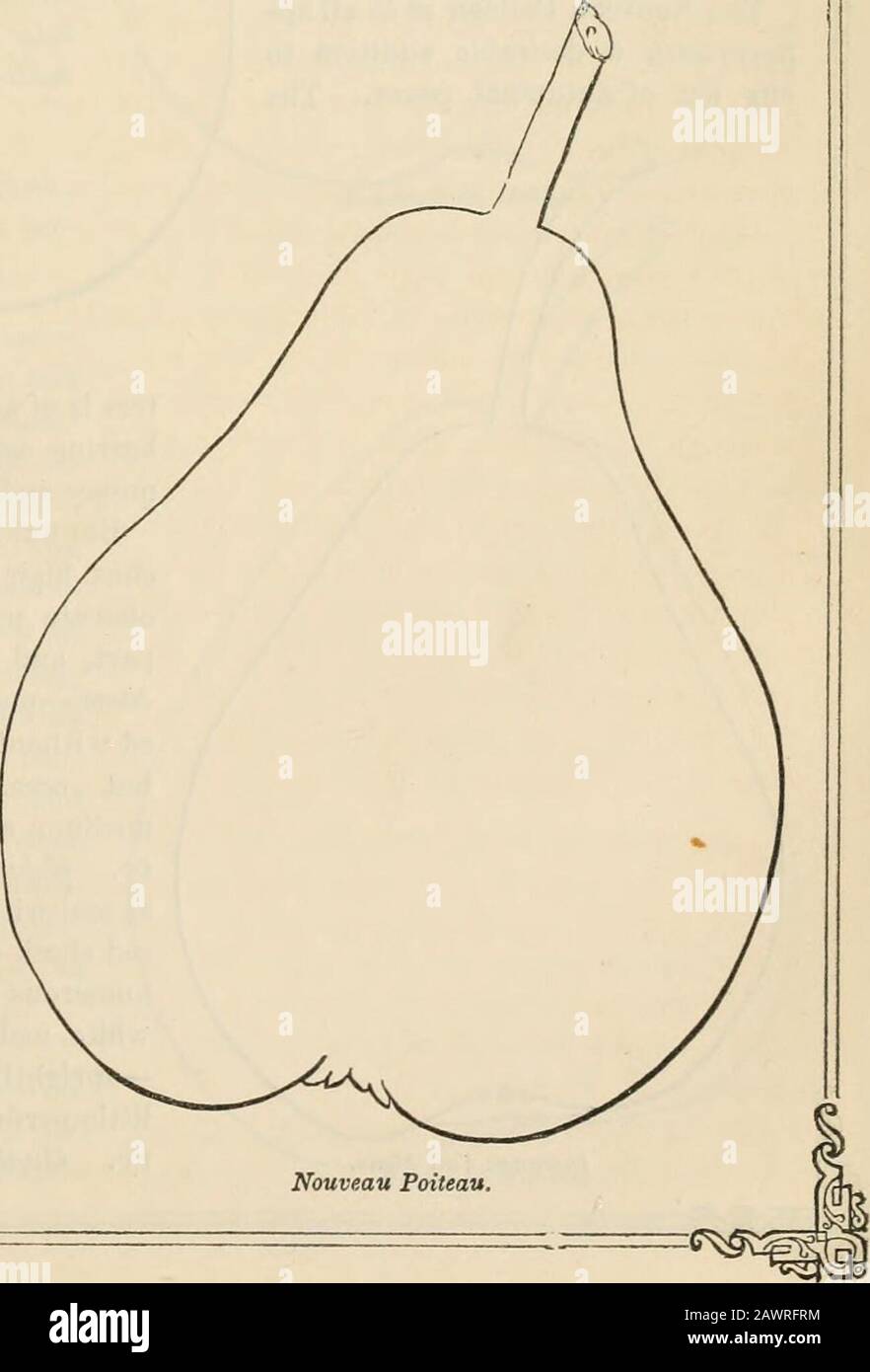 Dear fruits hi-res stock photography and images - Alamy