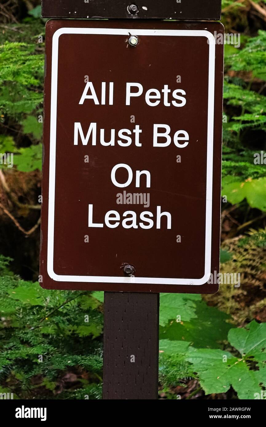 Pets on a leash sign hi-res stock photography and images - Alamy
