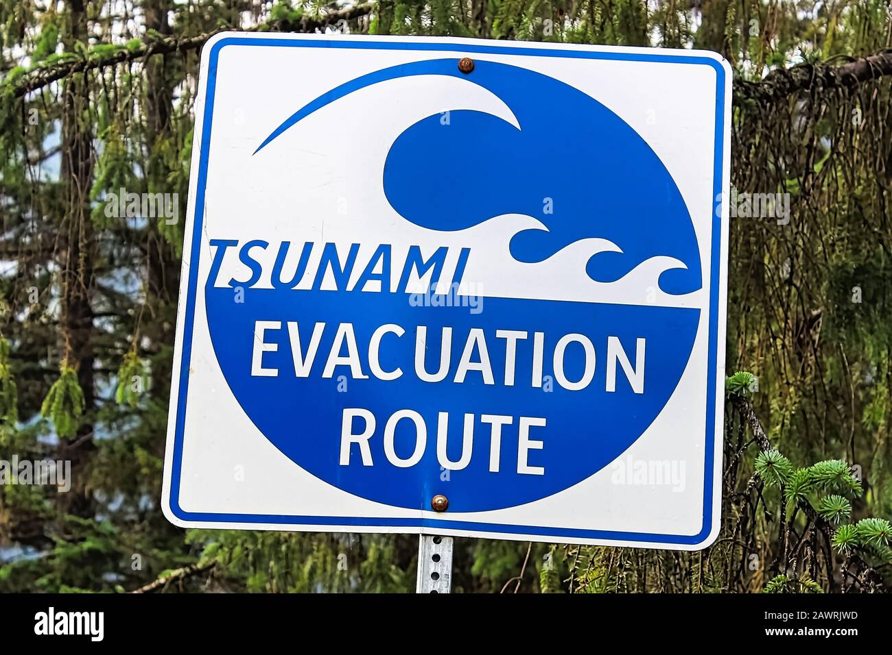 A blue tsunami evacuation route direction sign Stock Photo - Alamy