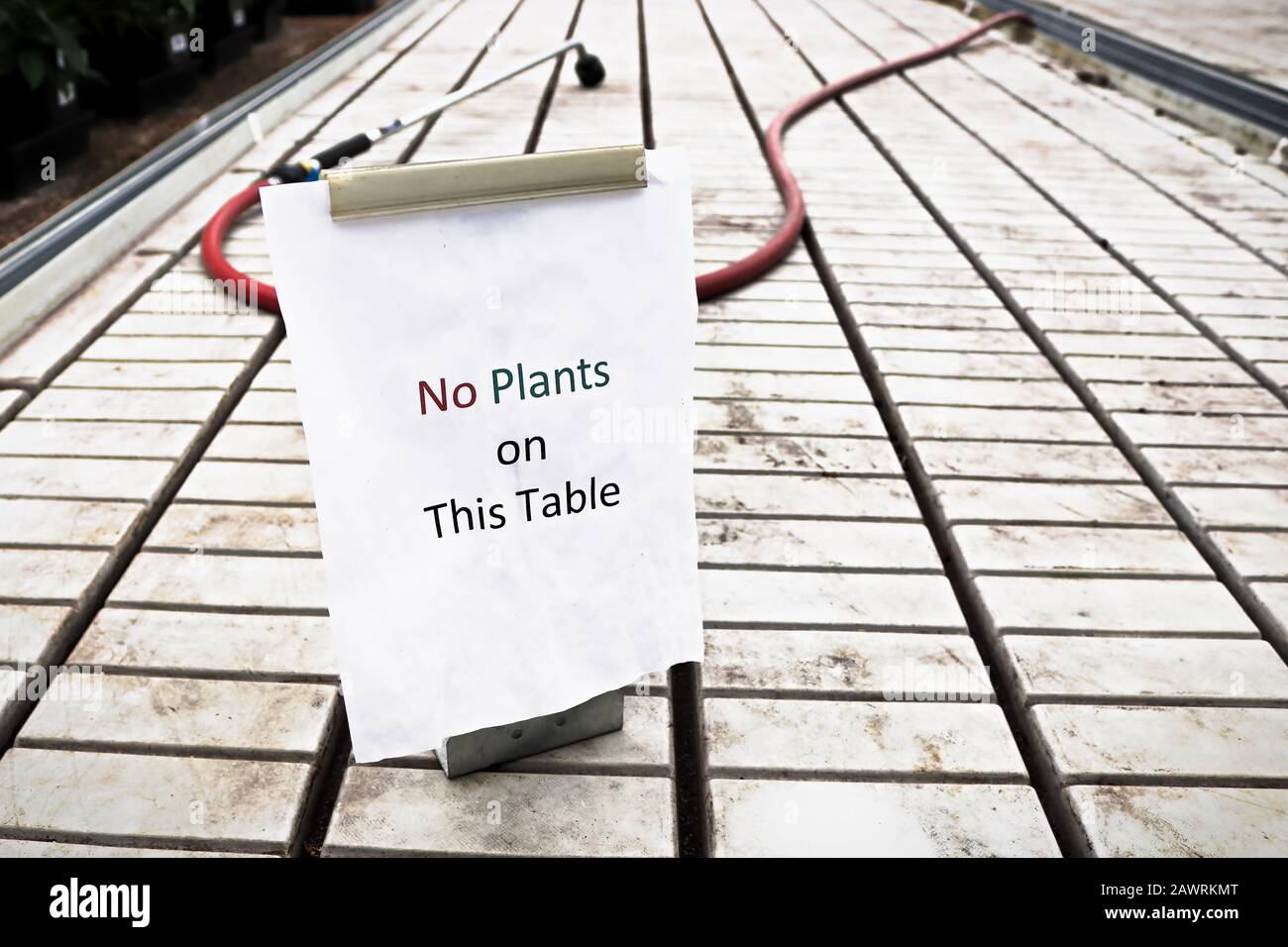 A no plants on this table sign in a greenhouse Stock Photo - Alamy