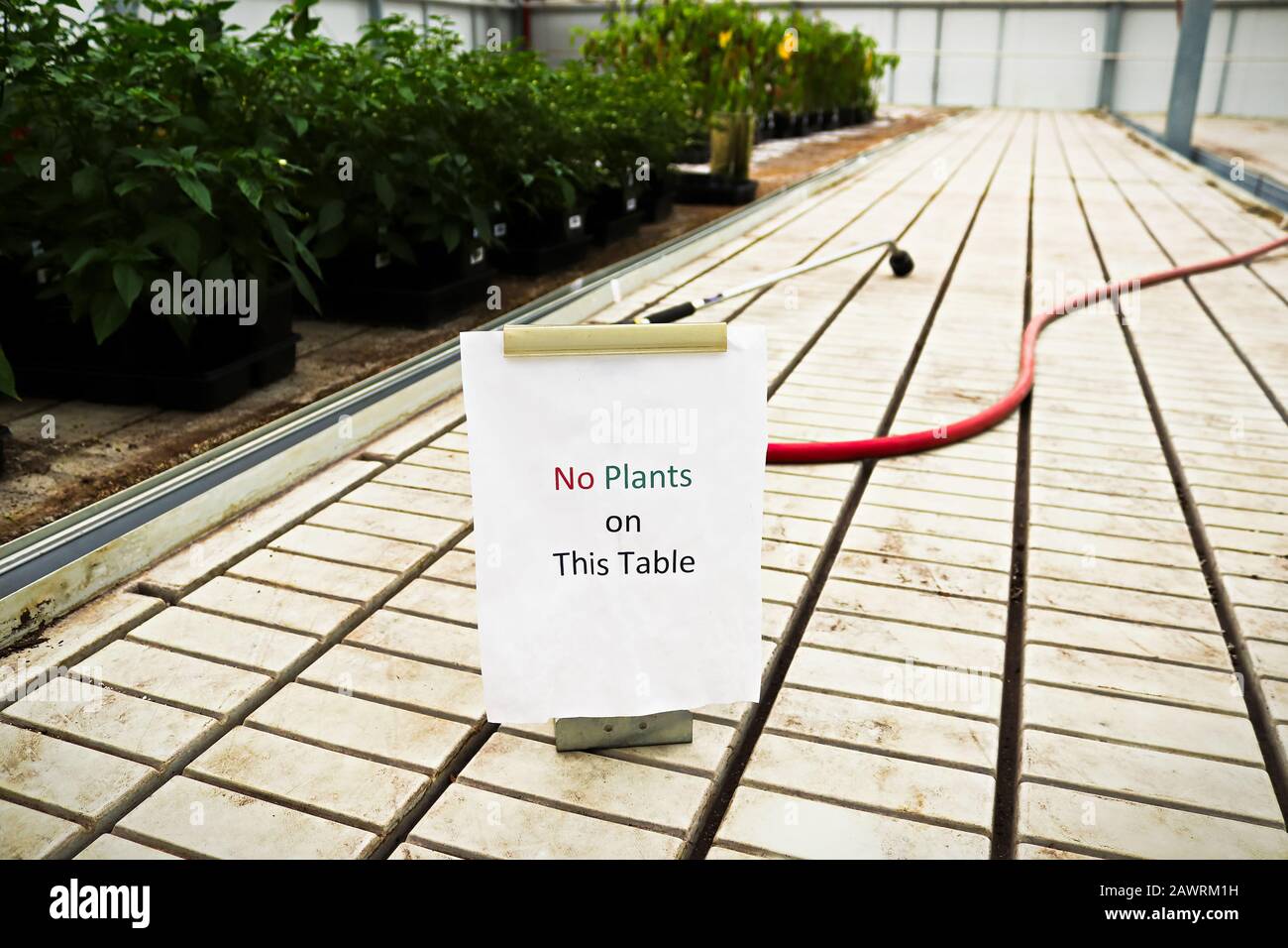 A no plants on this table sign in a greenhouse Stock Photo - Alamy