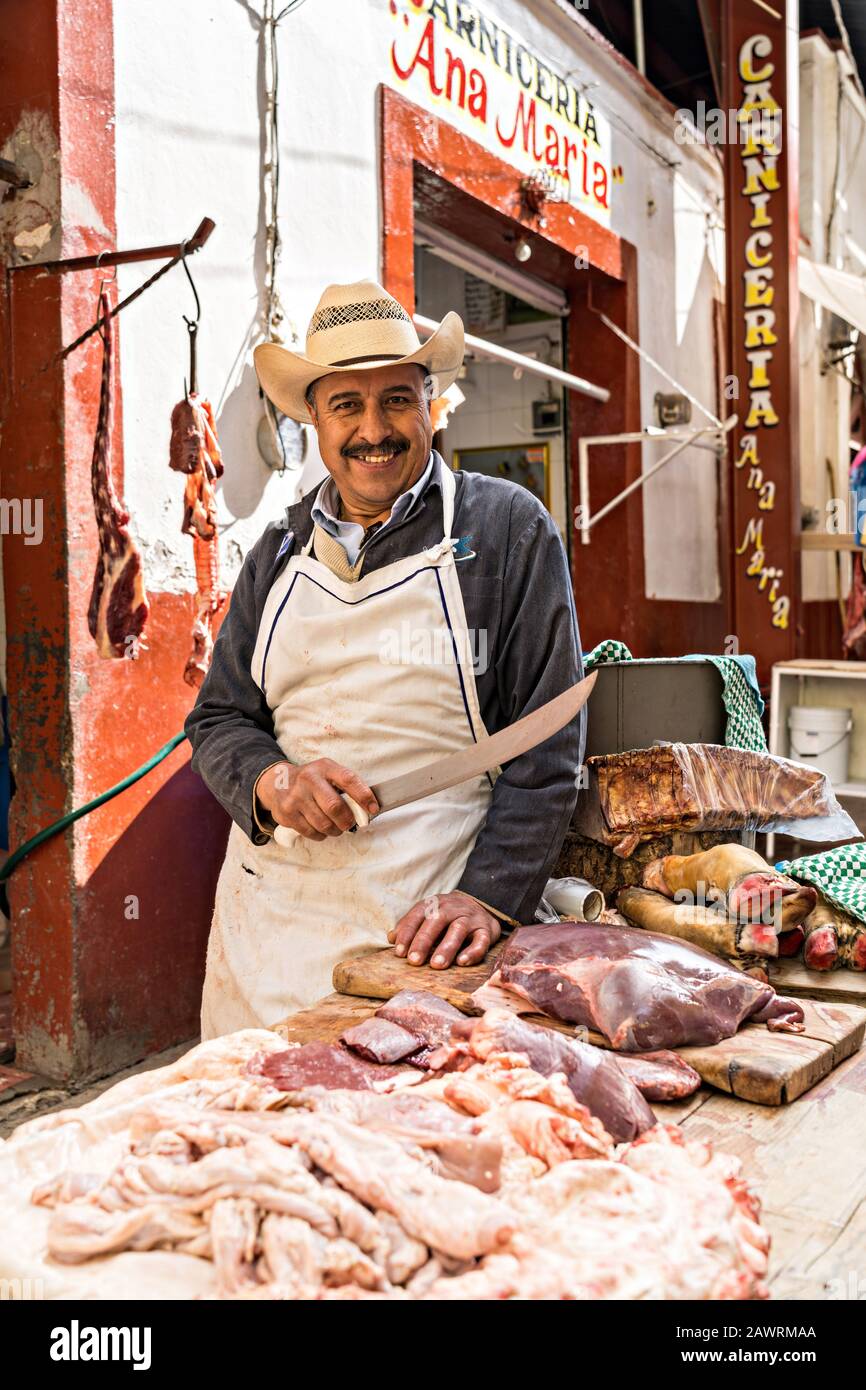 Mexican village monarch butterflies hi-res stock photography and images ...