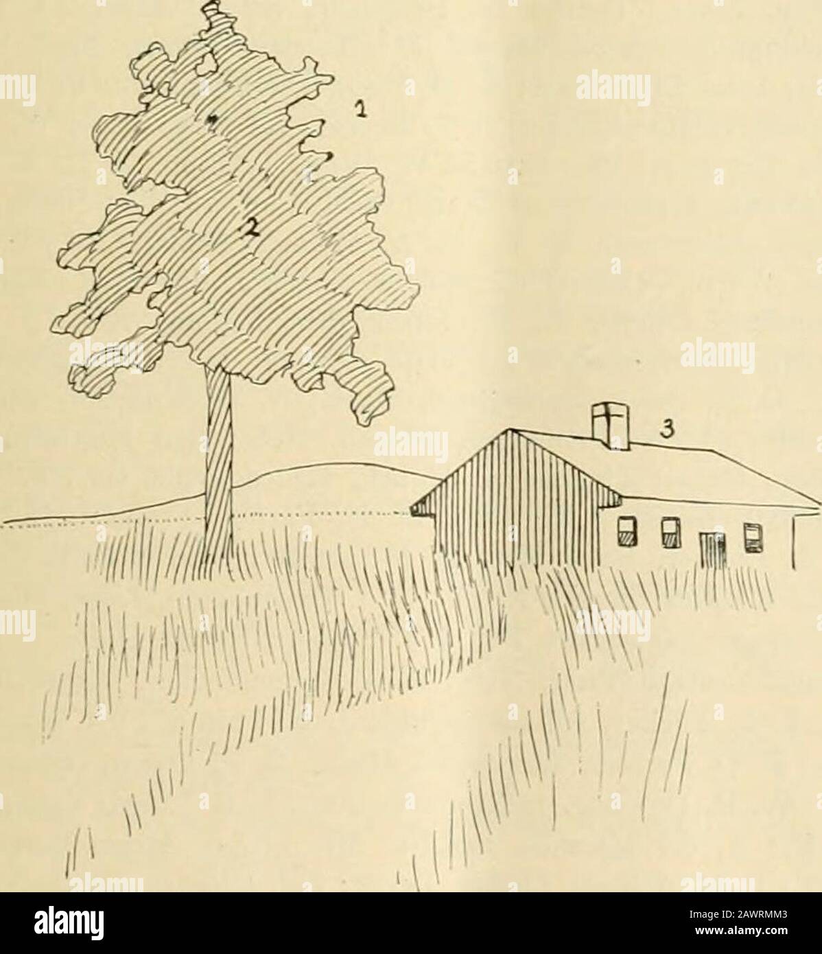 Penman's Art Journal . Spencerian Script, by F. S. Heath, Concord, N ...