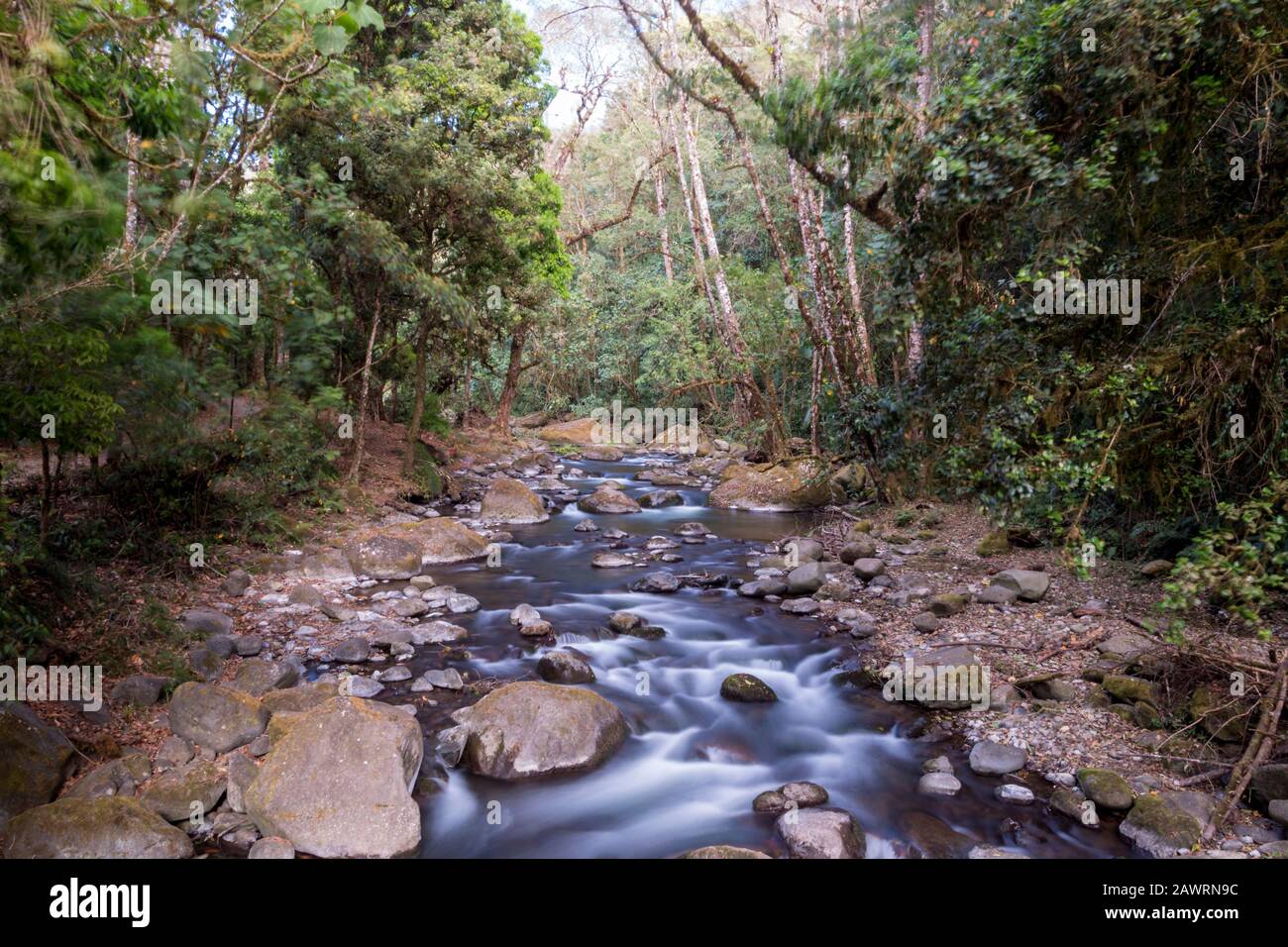 Savegre River, San Gerardo de Dota. Quetzales National Park, Costa Rica ...