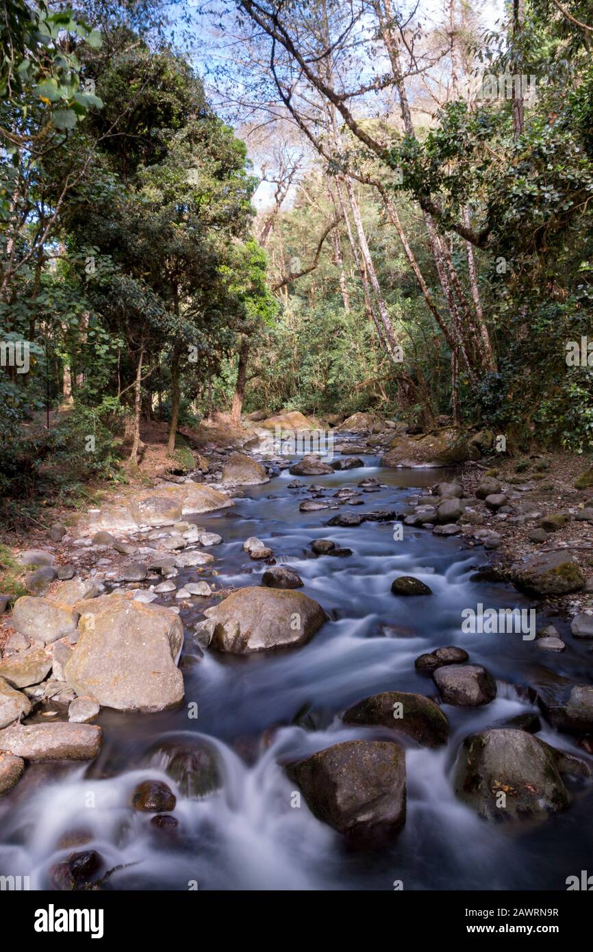 Savegre River, San Gerardo de Dota. Quetzales National Park, Costa Rica ...