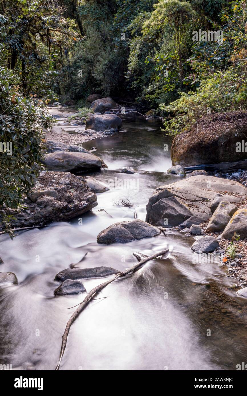 Savegre River, San Gerardo de Dota. Quetzales National Park, Costa Rica ...