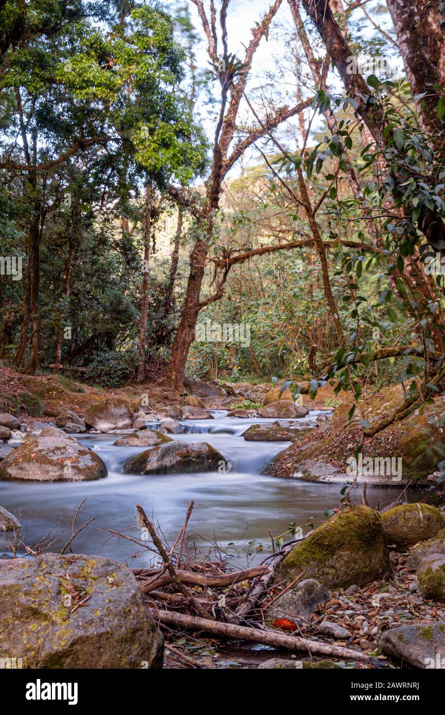 Savegre River, San Gerardo de Dota. Quetzales National Park, Costa Rica ...
