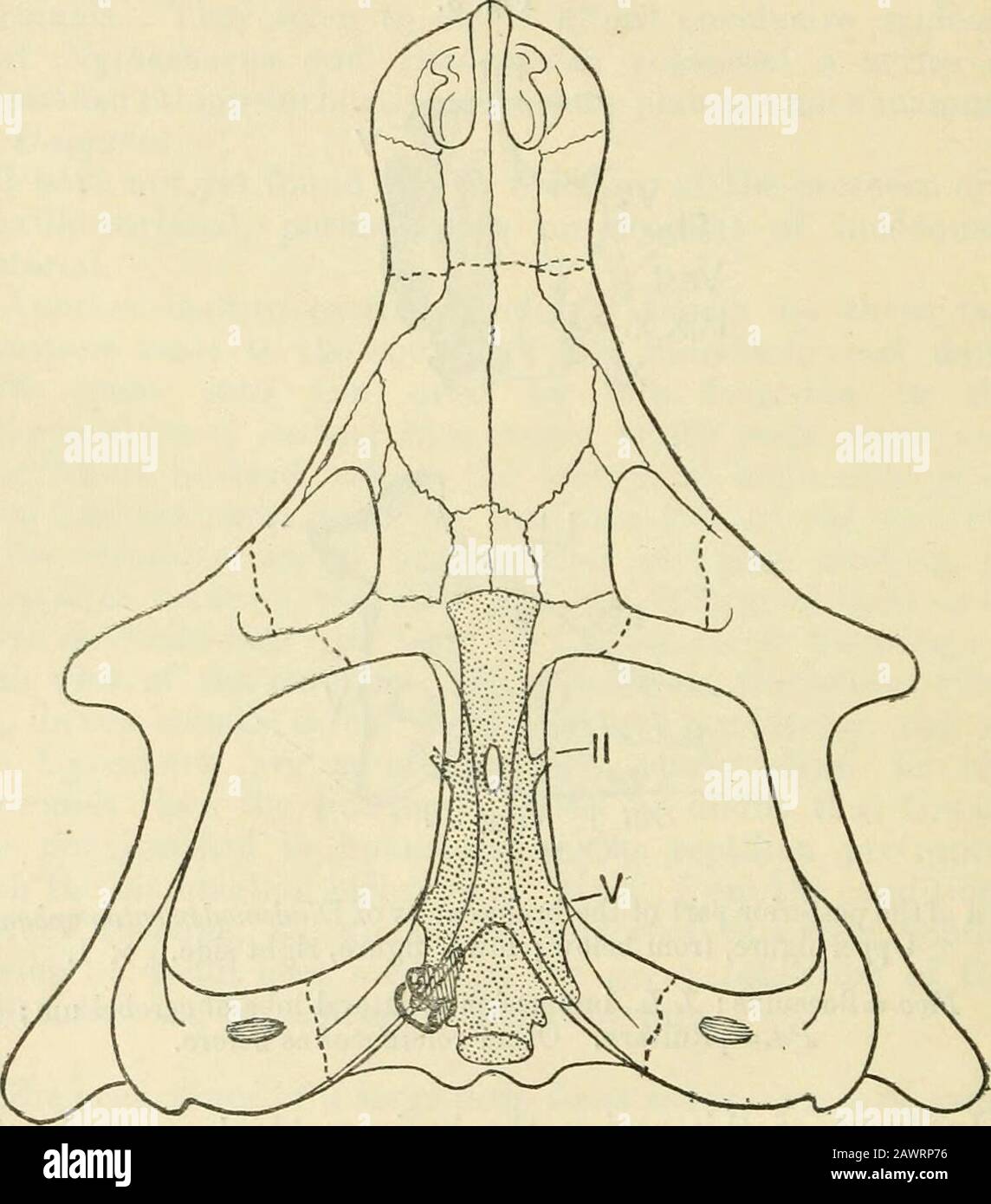 The annals and magazine of natural history : zoology, botany, and ...