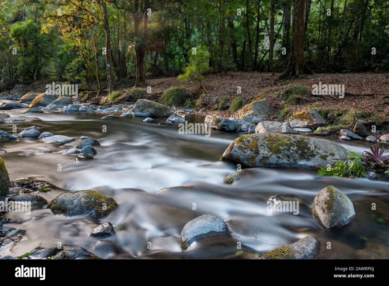 Savegre River, San Gerardo de Dota. Quetzales National Park, Costa Rica ...