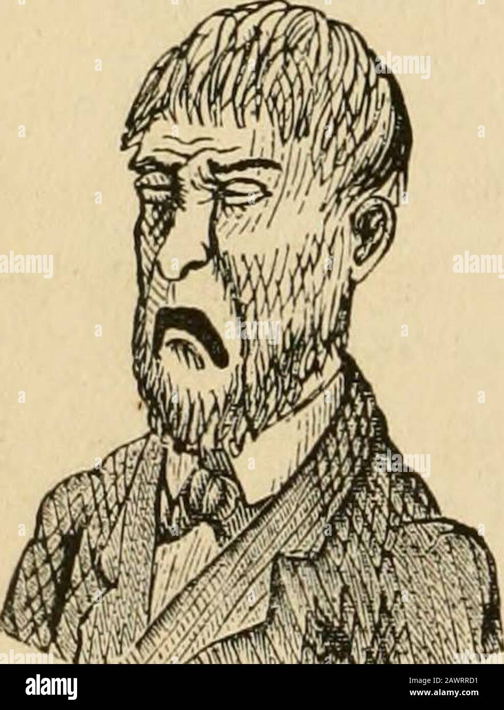 Astern horse hi-res stock photography and images - Alamy